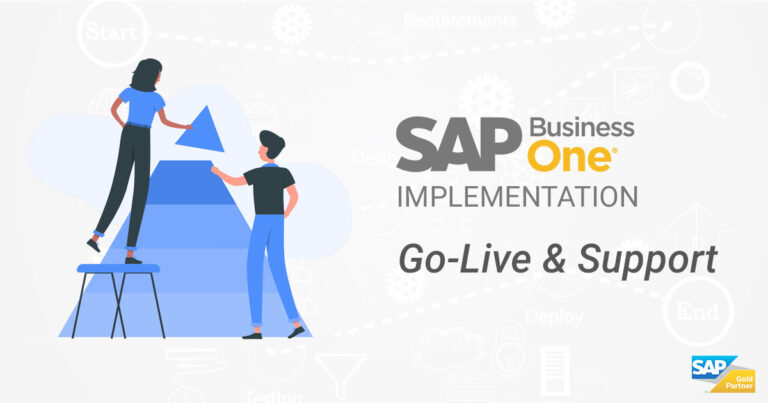 SAP B1 Go-Live & Support: Final ERP Implement Phase Today!